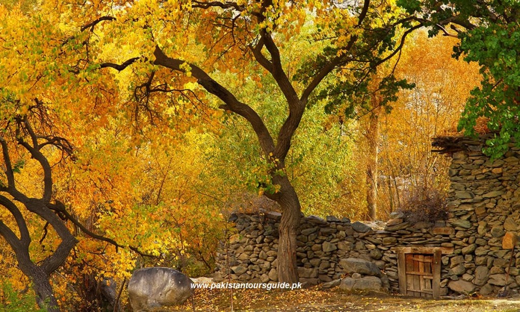 The Health Secrets of Hunza People Who Live Over 100 Years And Are ...
