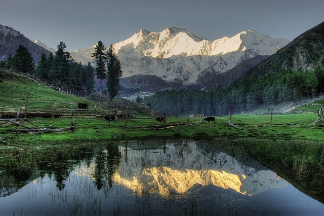 Fairy Meadows Tour Package 2016 - Pakistan Tours Guide