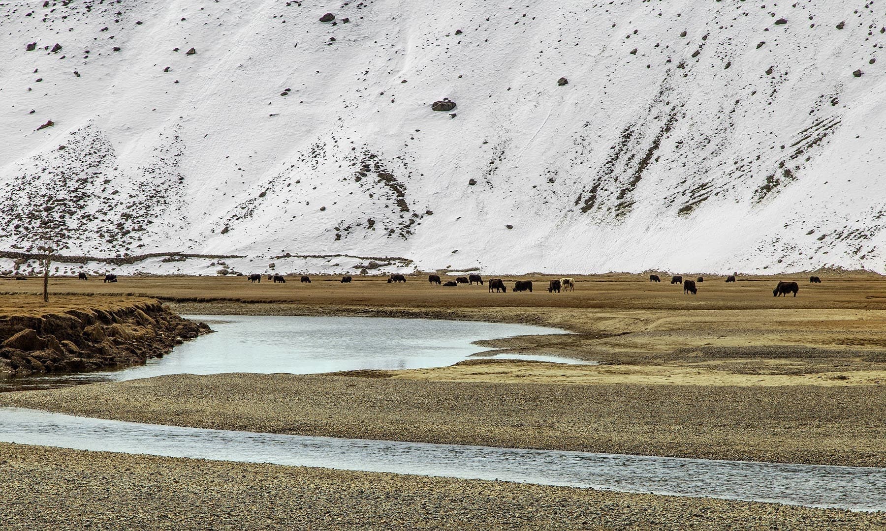 The music of Ghizer's flowing River - Pakistan Tours Guide