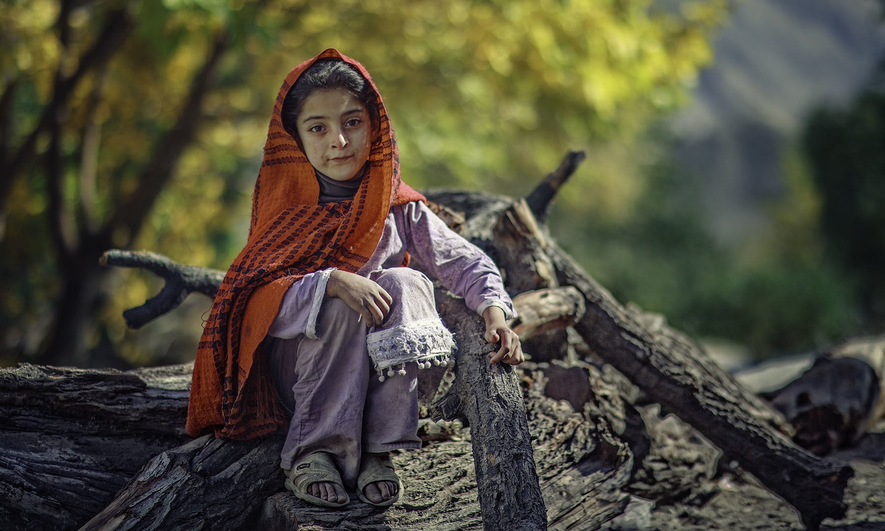 Nagar Valley - Pakistan Tours Guide