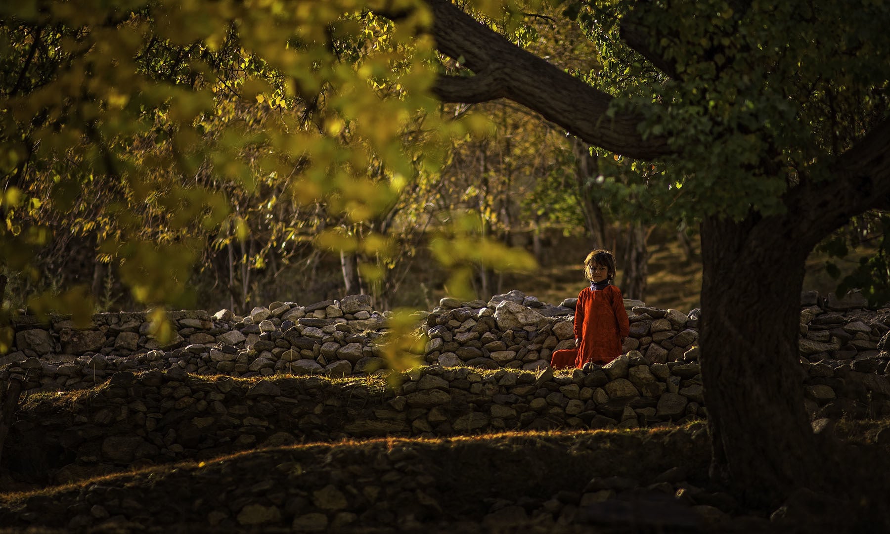 Nagar Valley - Pakistan Tours Guide