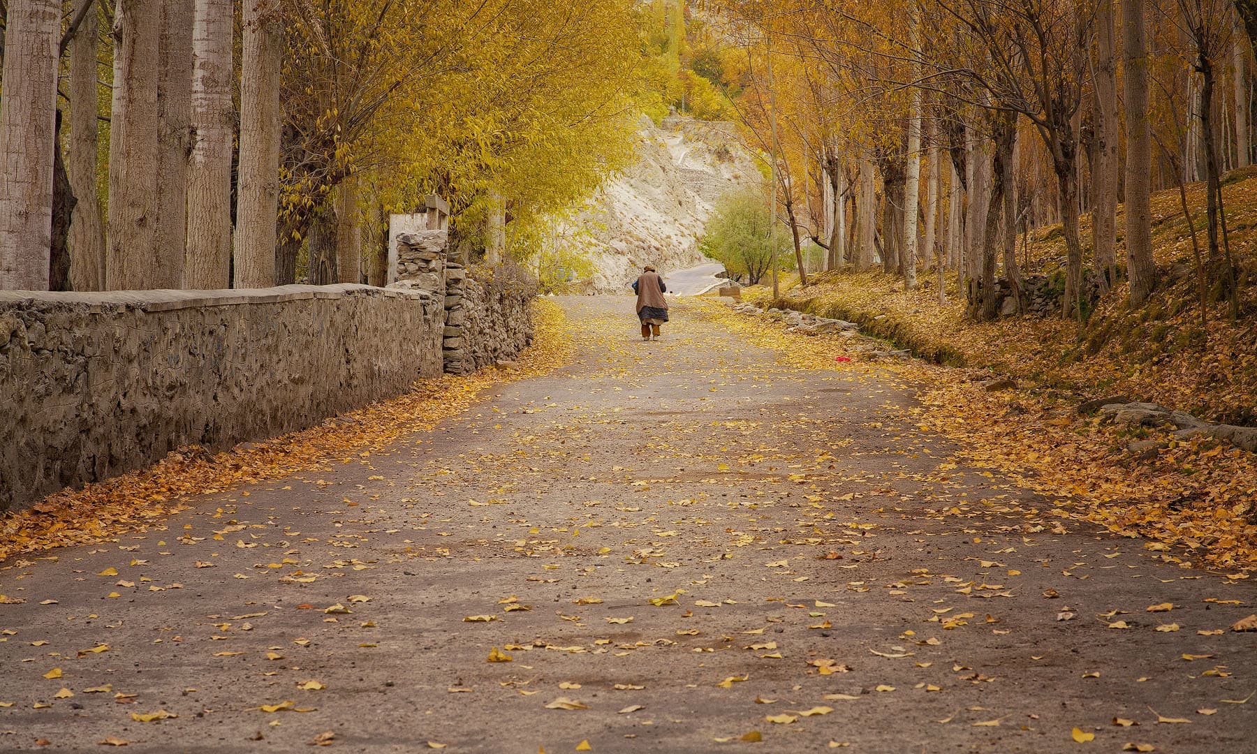 Nagar Valley - Pakistan Tours Guide