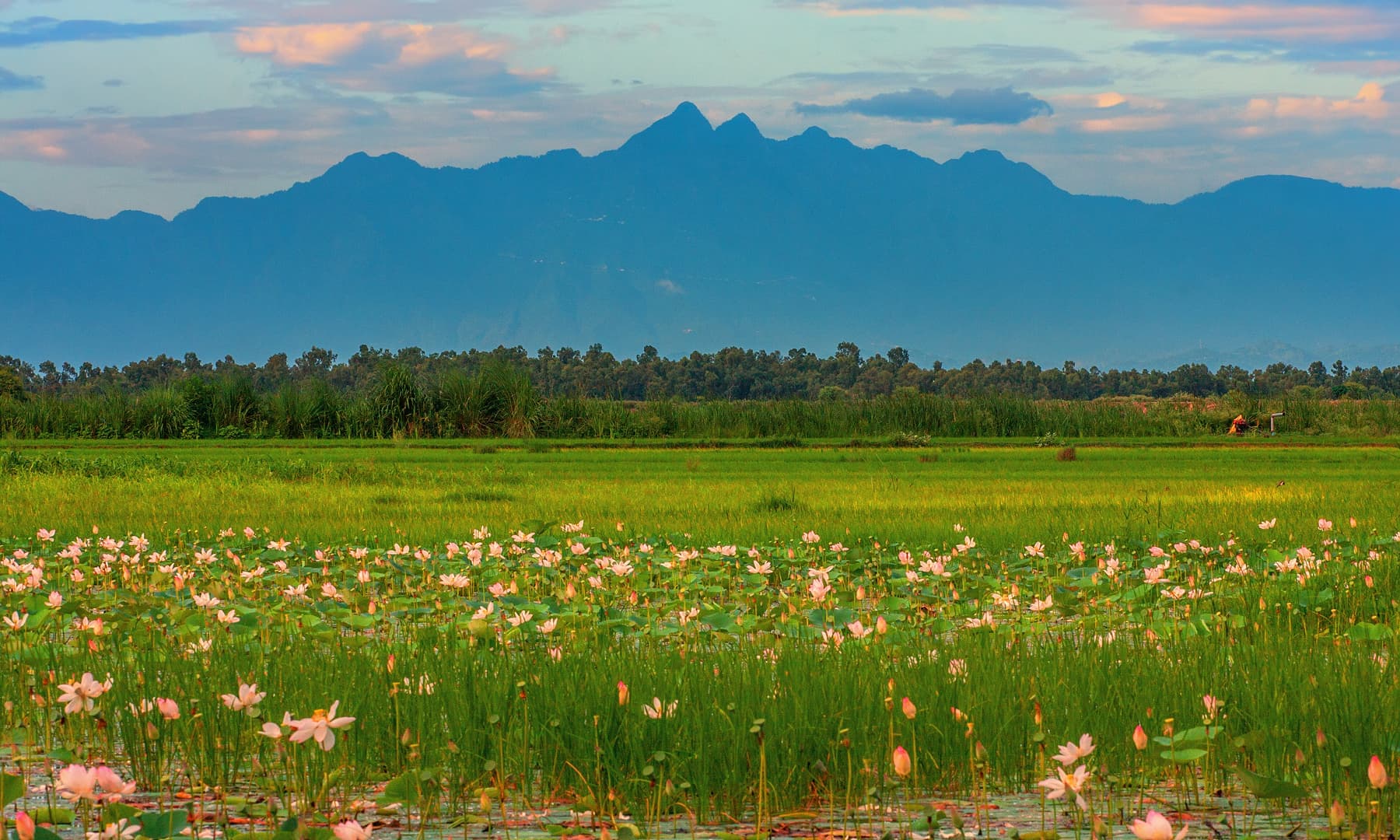 Marala Headworks Sialkot Travel Guide - Pakistan Tours Guide