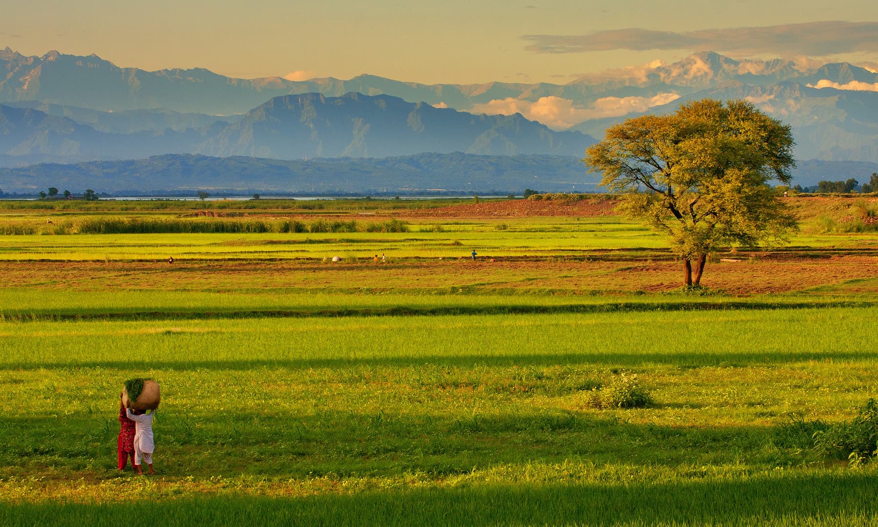 Marala Headworks Sialkot Travel Guide - Pakistan Tours Guide