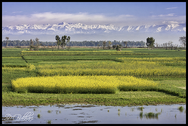 Marala Headworks Sialkot Travel Guide - Pakistan Tours Guide